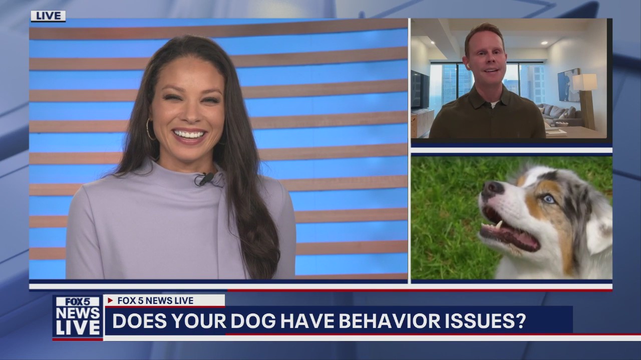 When to get professional dog training | FOX 5 Atlanta